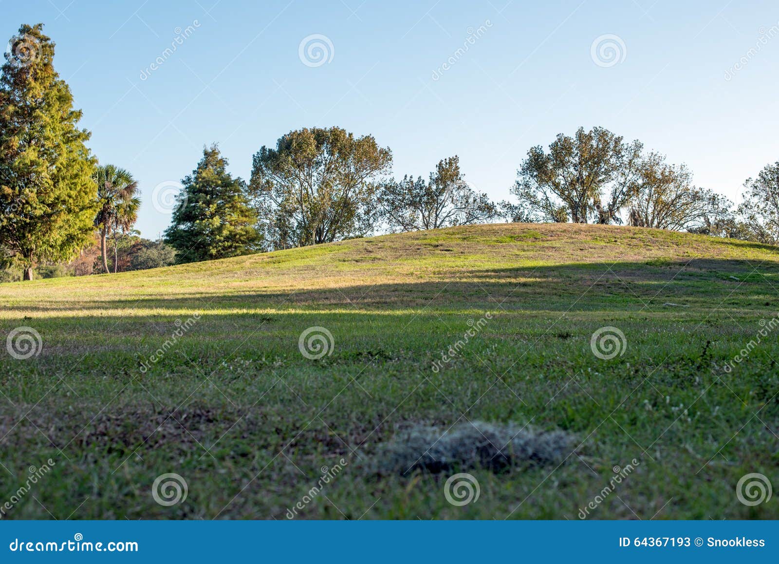 Hill in park stock image. Image of park, public, scenic - 64367193