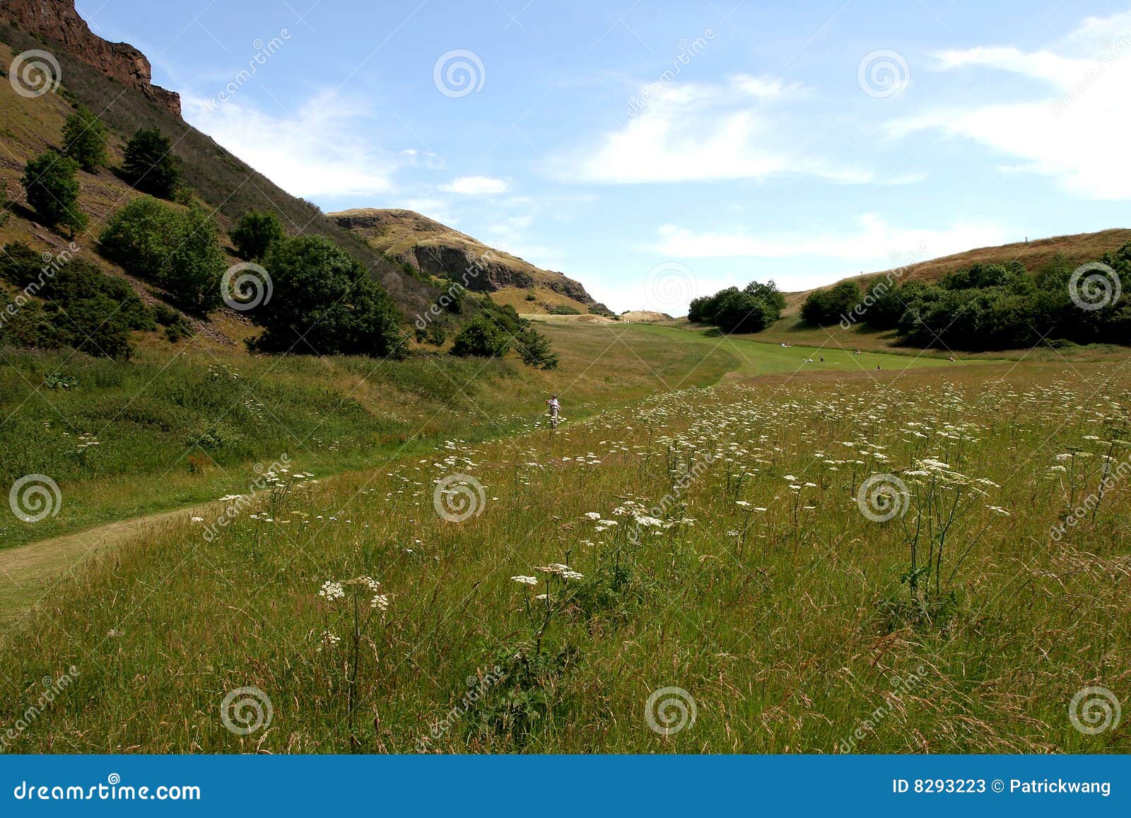 Hill path stock image. Image of landscape, city, flower - 8293223
