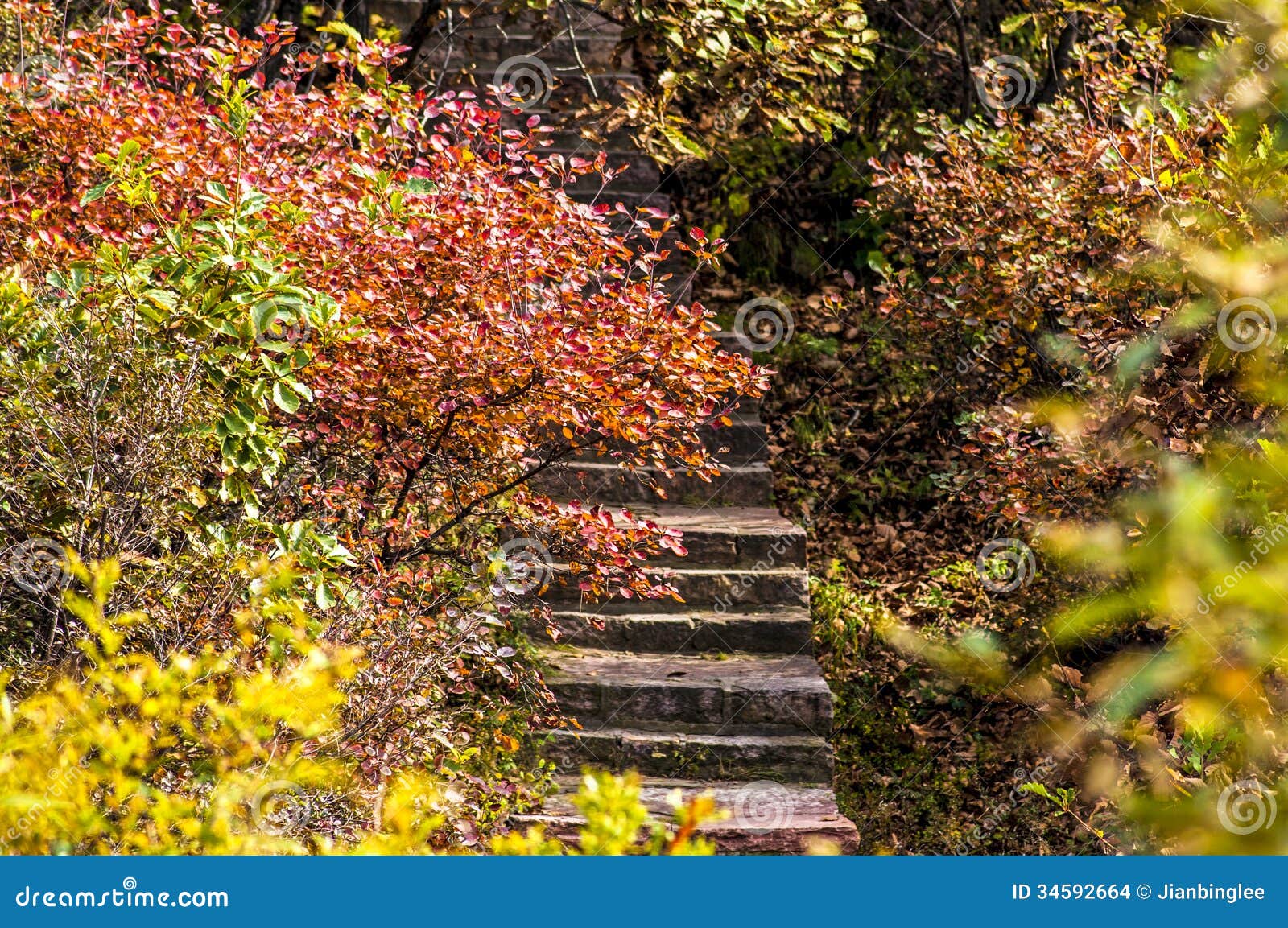 Hill path stock photo. Image of perspective, trails, fall - 34592664