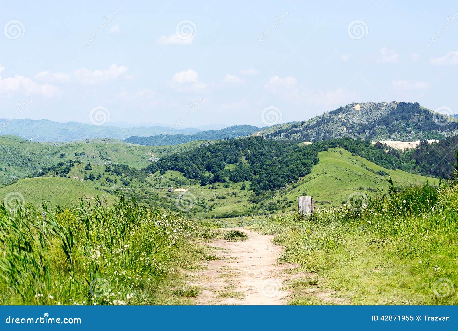 Hill path stock image. Image of green, countryside, environment - 42871955