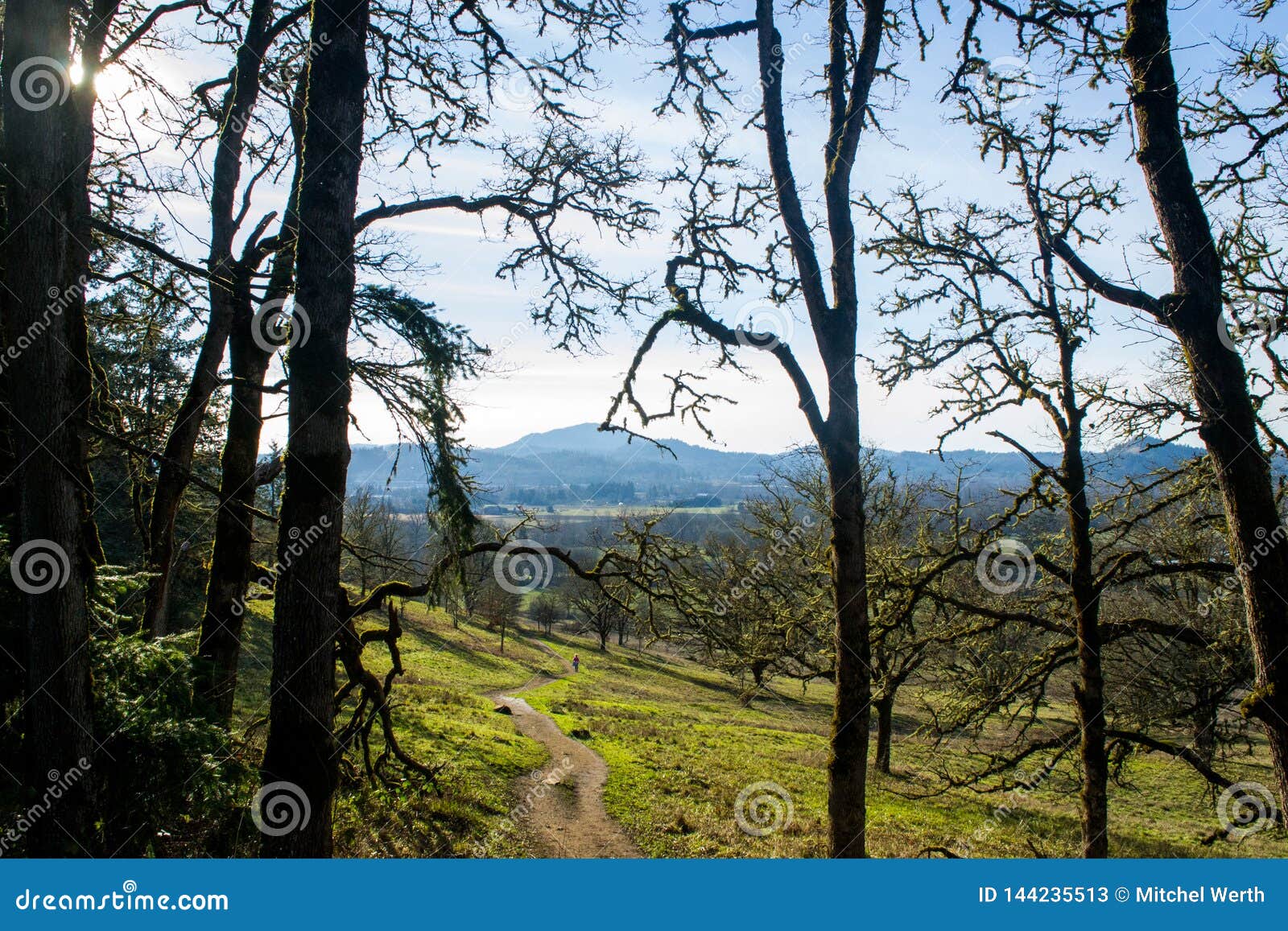 Hill Path Landscape stock image. Image of nature, public - 144235513