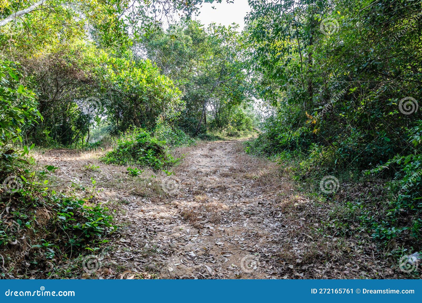 Hill pathway stock image. Image of walking, pebbles - 272165761