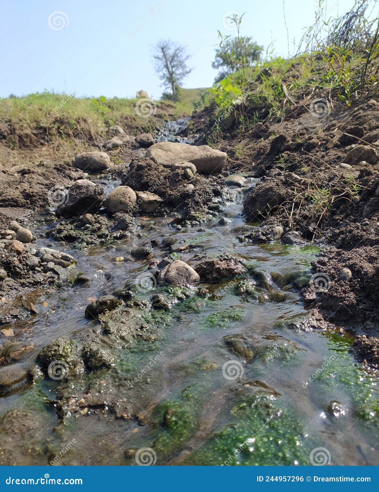 Hill river stock photo. Image of rapid, rock, coast - 244957296