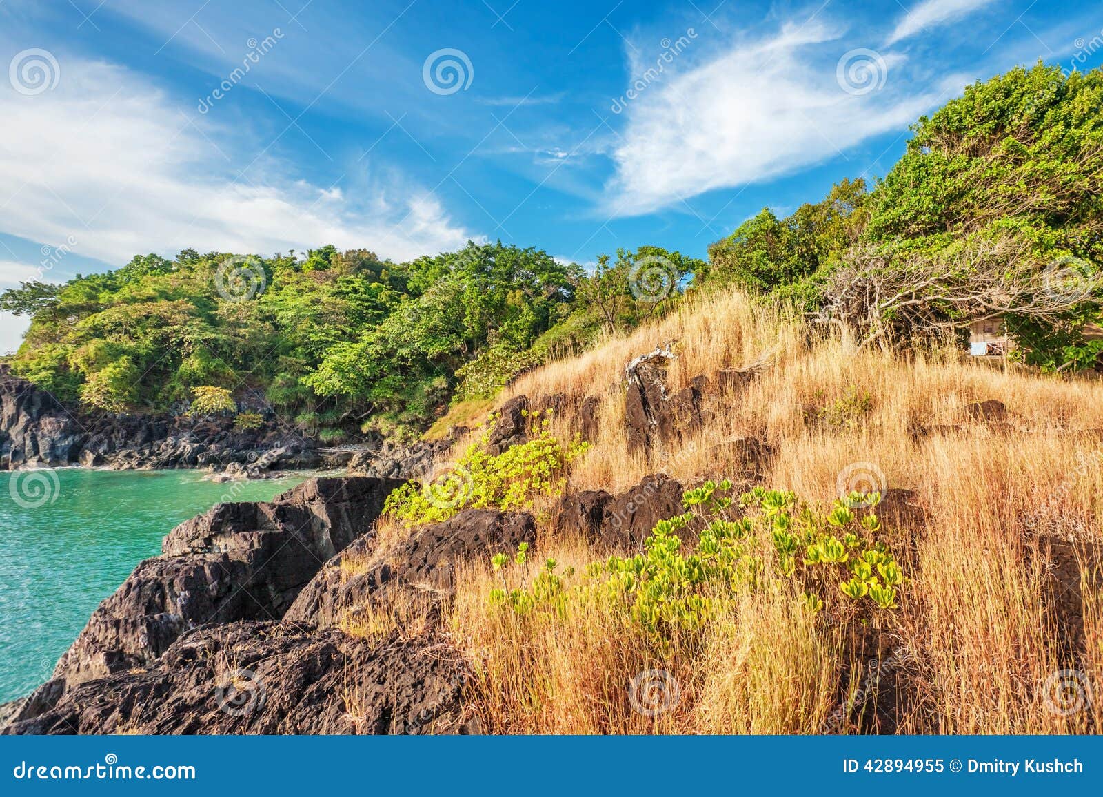 Hill with Rocks, Grass and Trees Stock Image - Image of coastline ...