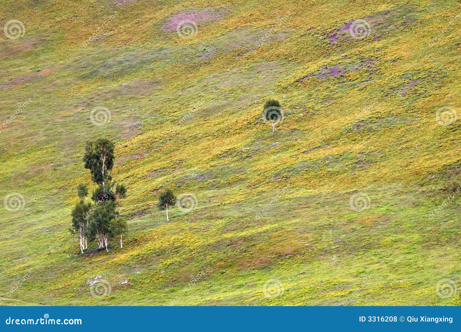 Hill scenery stock photo. Image of china, hill, scenery - 3316208