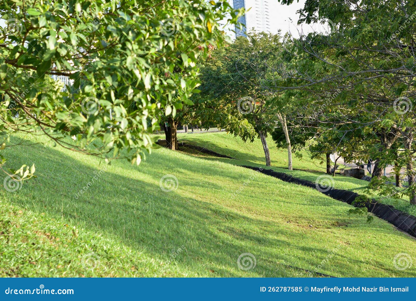 Hill Scenery Park with Small Tree Around the Corner Stock Image - Image ...