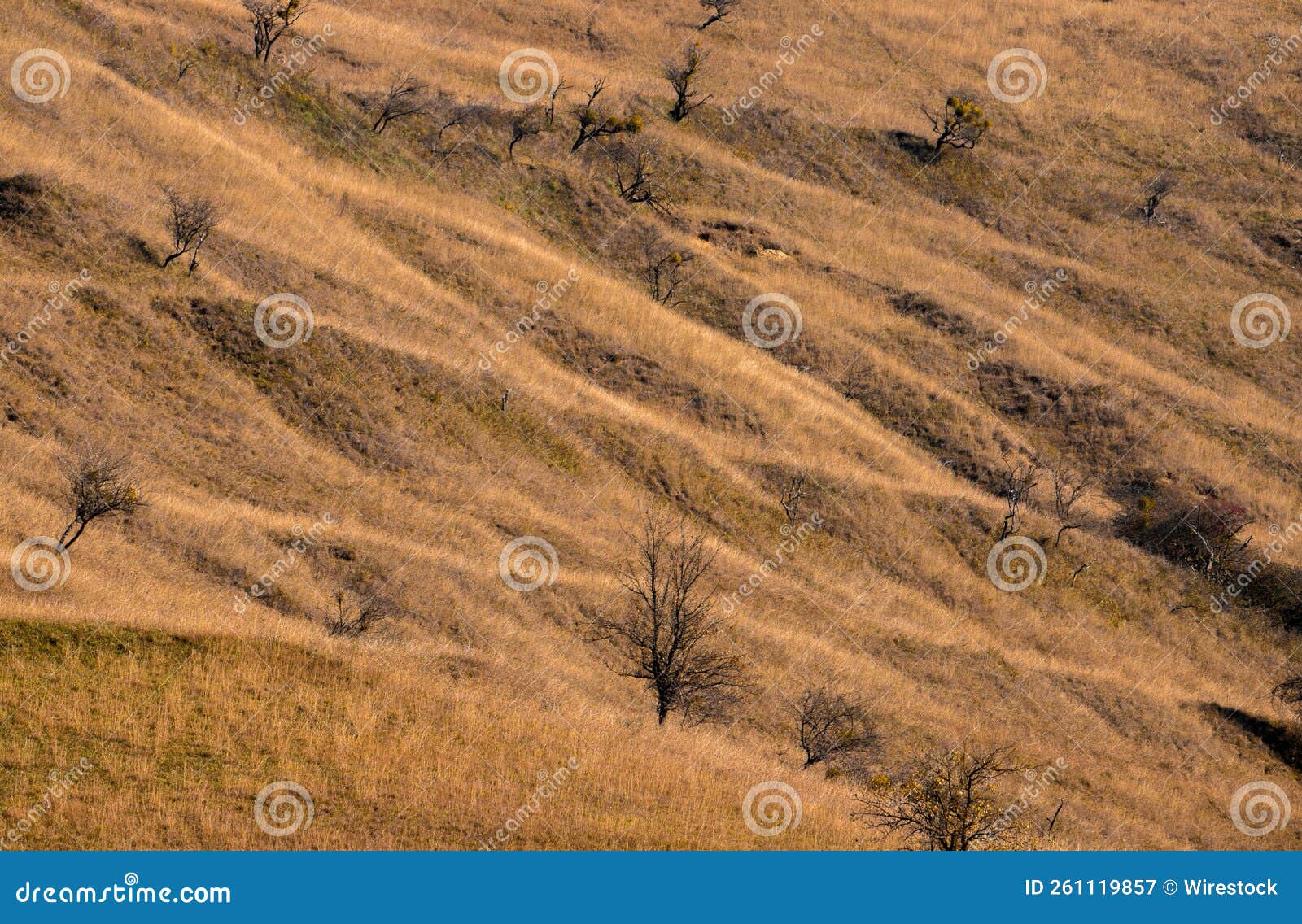 A Hill Slope with Dry Grass Stock Image - Image of field, drought ...