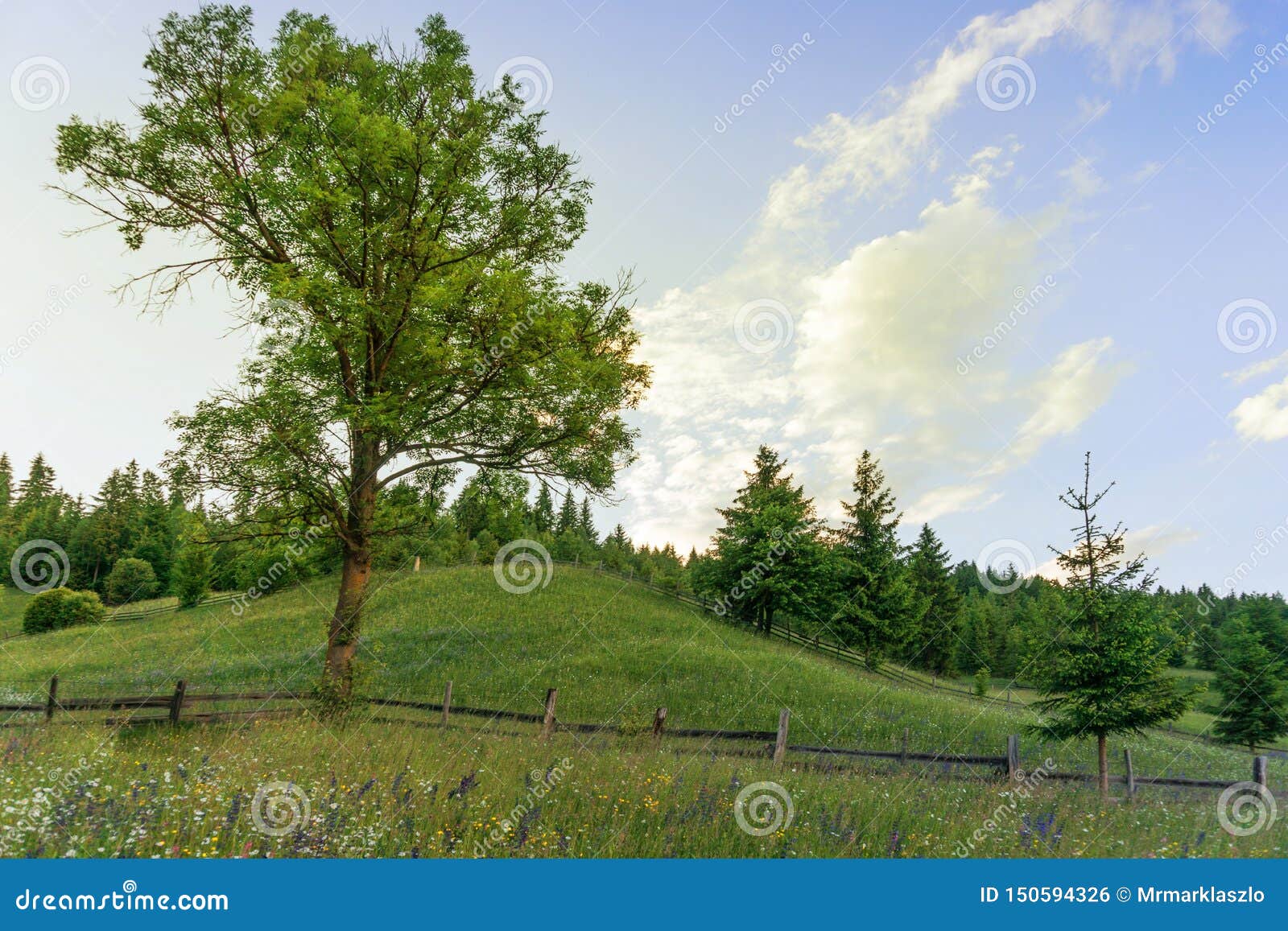 Gyimes Stock Photos - Free & Royalty-Free Stock Photos from Dreamstime