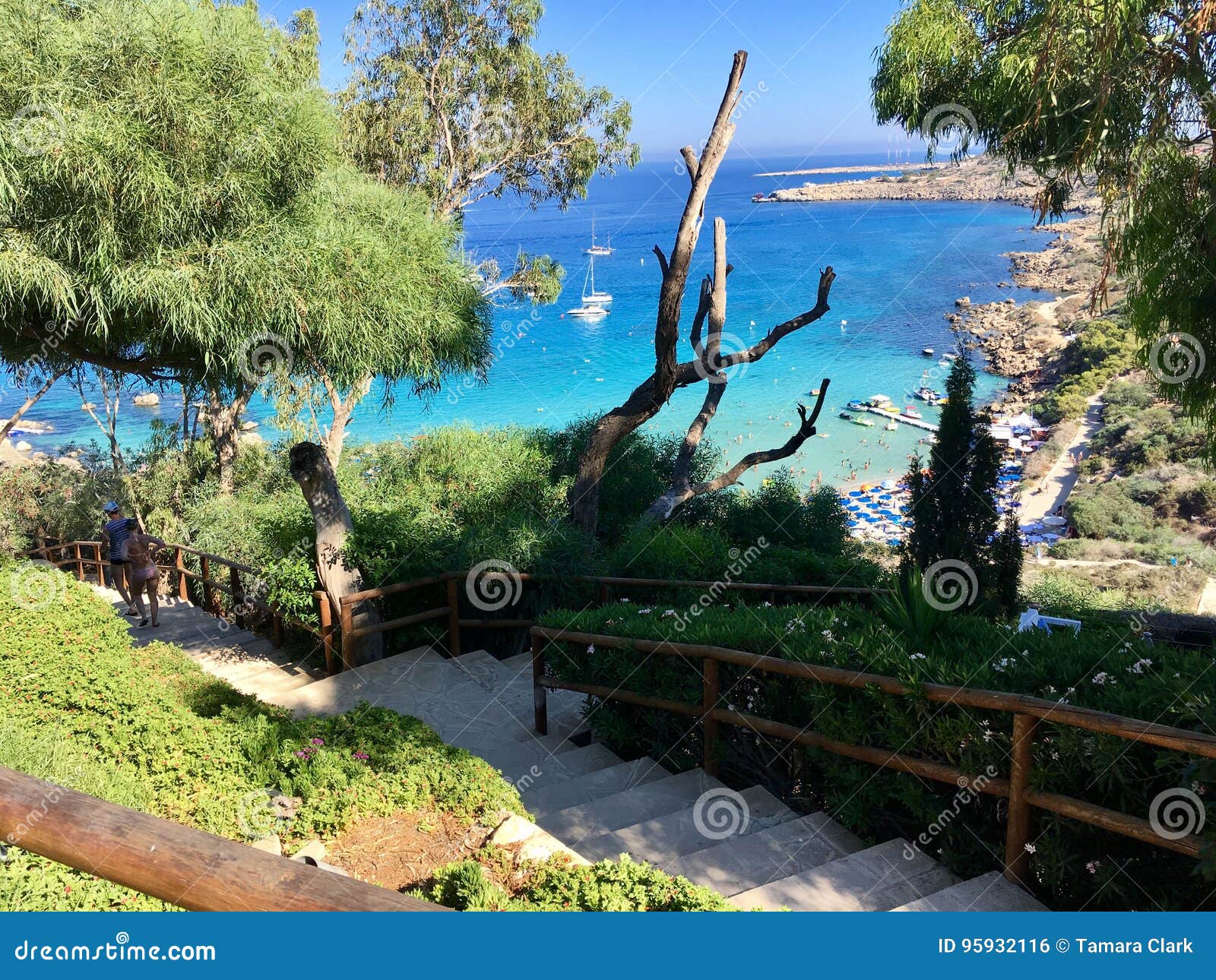 Hill Top Sea View Tree Line Stock Photo - Image of hilltop, line: 95932116