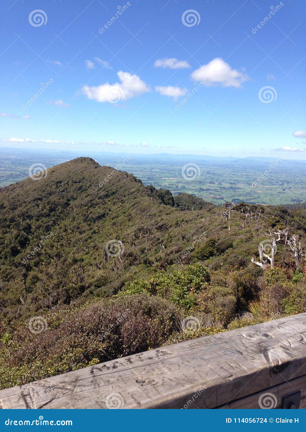 Hill top view stock photo. Image of clouds, forest, tramping - 114056724