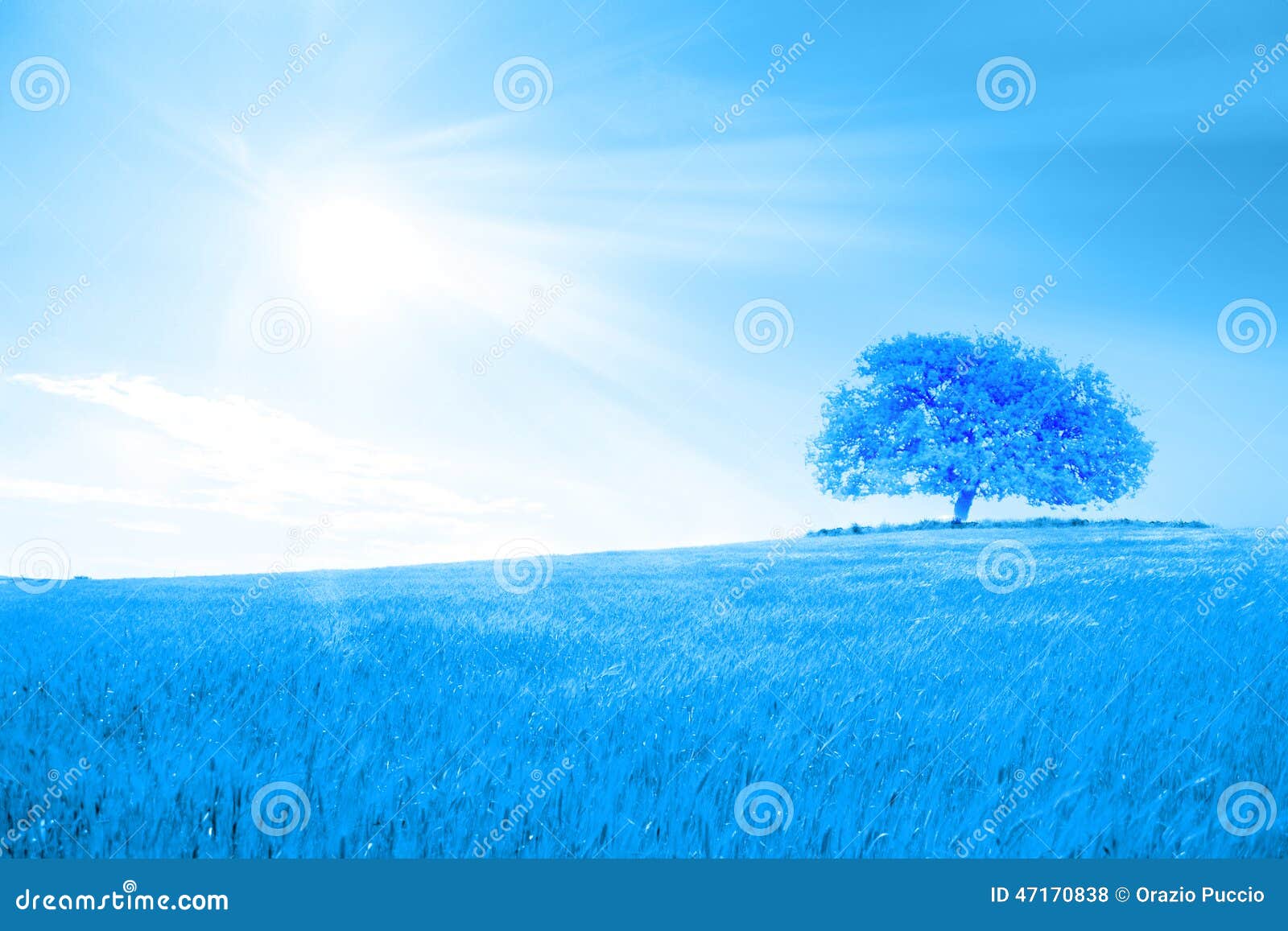 Hill with Tree and Sun Rays - Planet Earth - Globe Stock Photo - Image ...