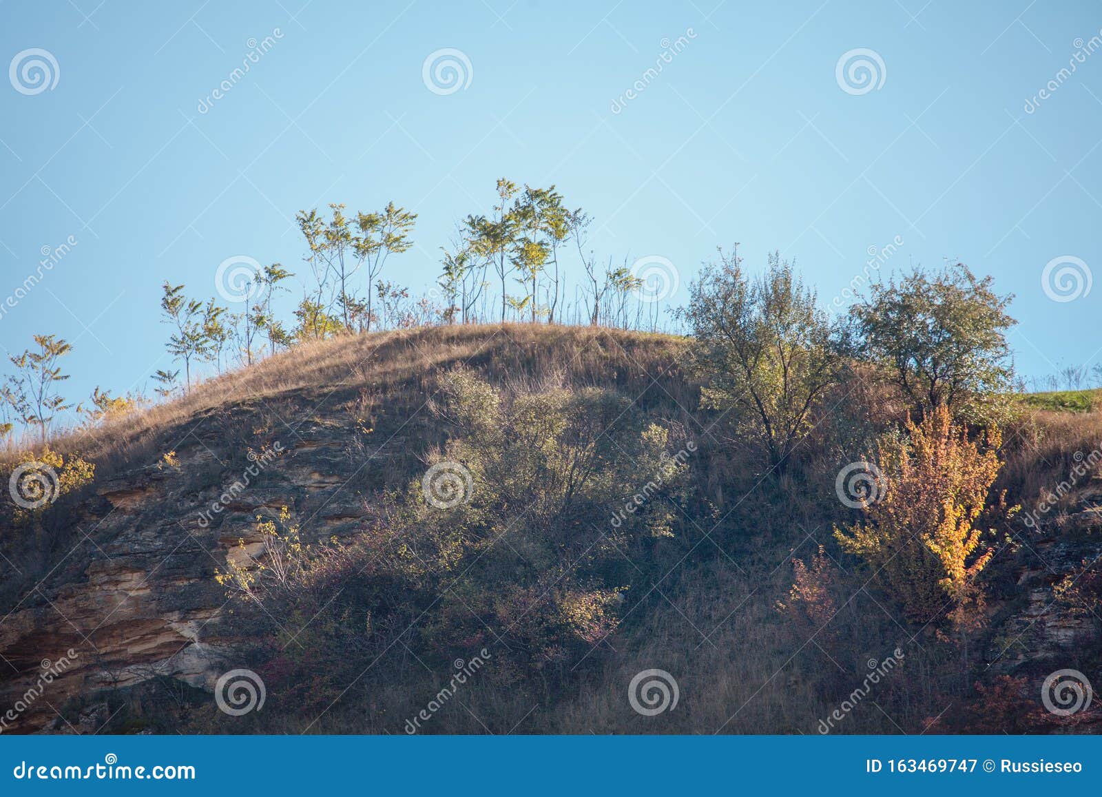 Hill with trees stock image. Image of summer, autumn - 163469747
