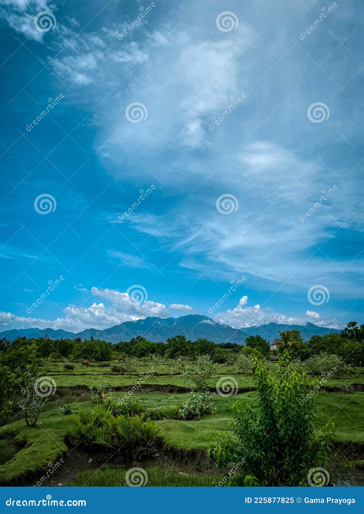 Hill view stock image. Image of enjoy, nature, view - 225877825