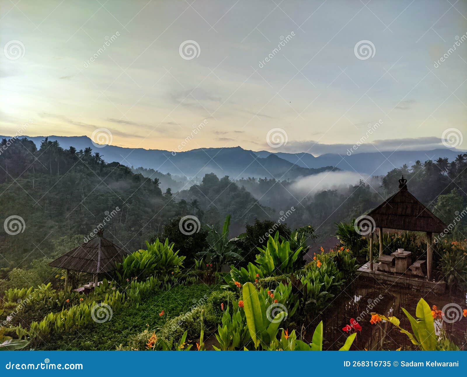 Hill View Singaraja Bali stock image. Image of forest - 268316735