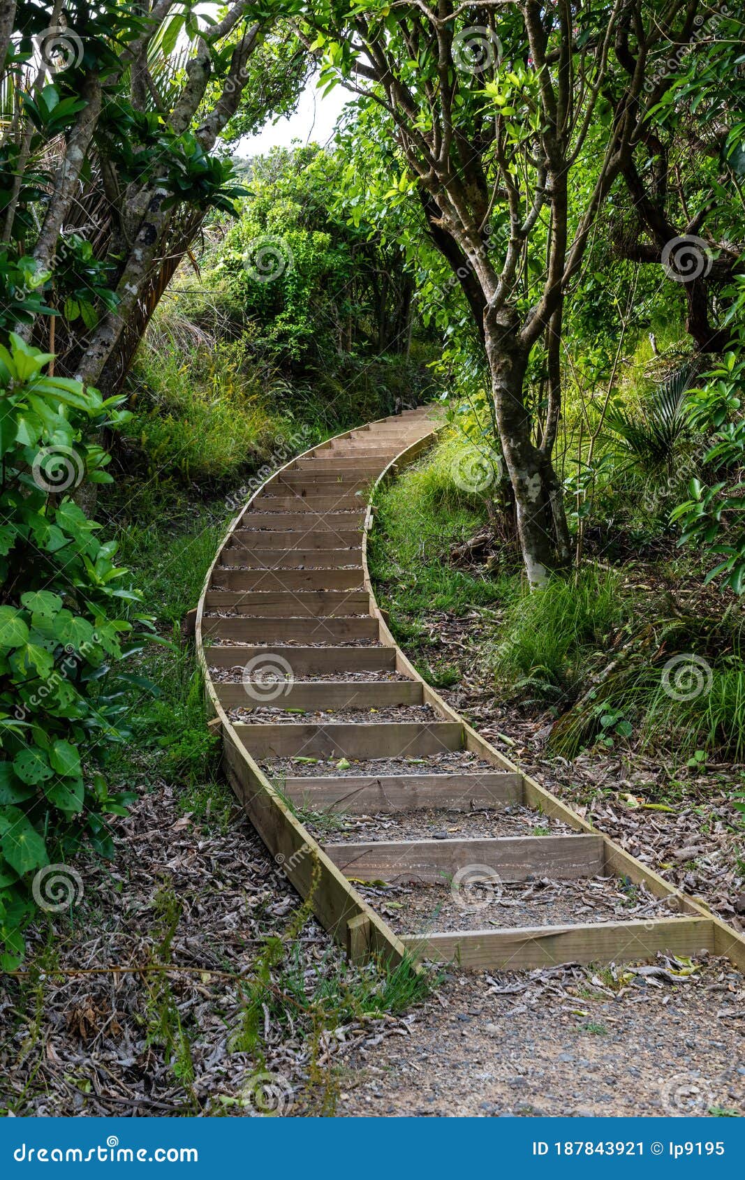Hillary hiking track stock image. Image of zealand, path - 187843921