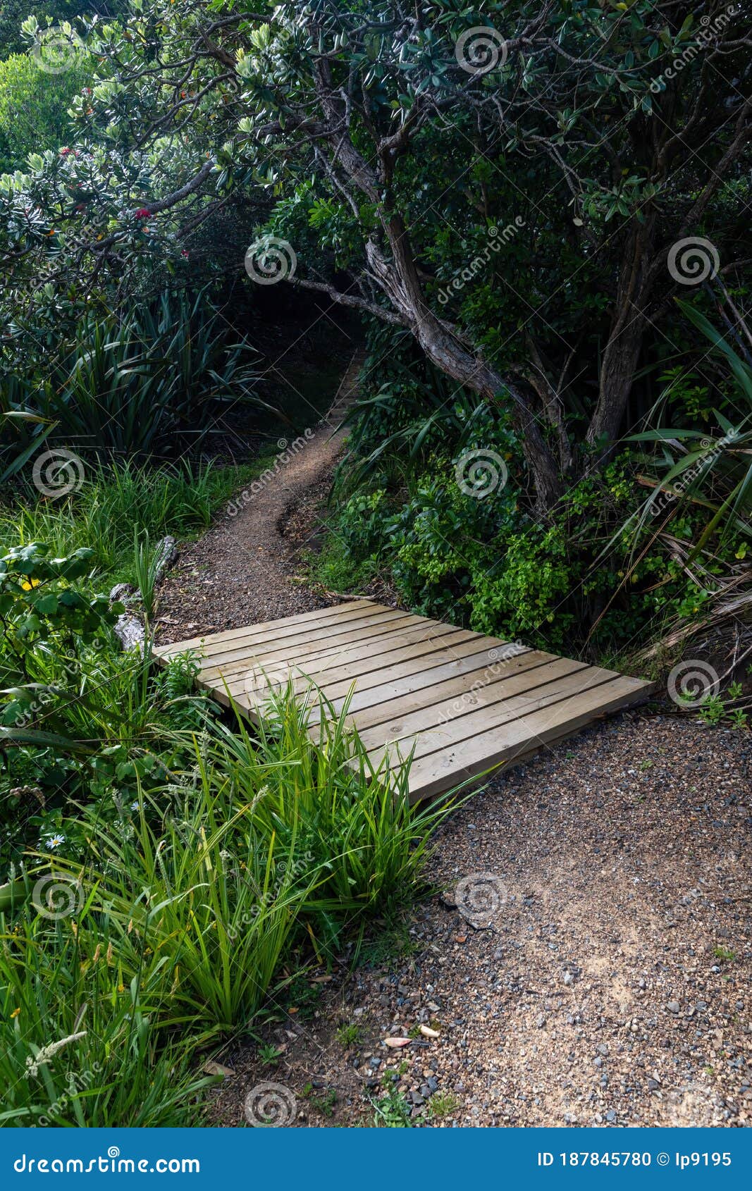 Hillary hiking track stock photo. Image of nature, natural - 187845780