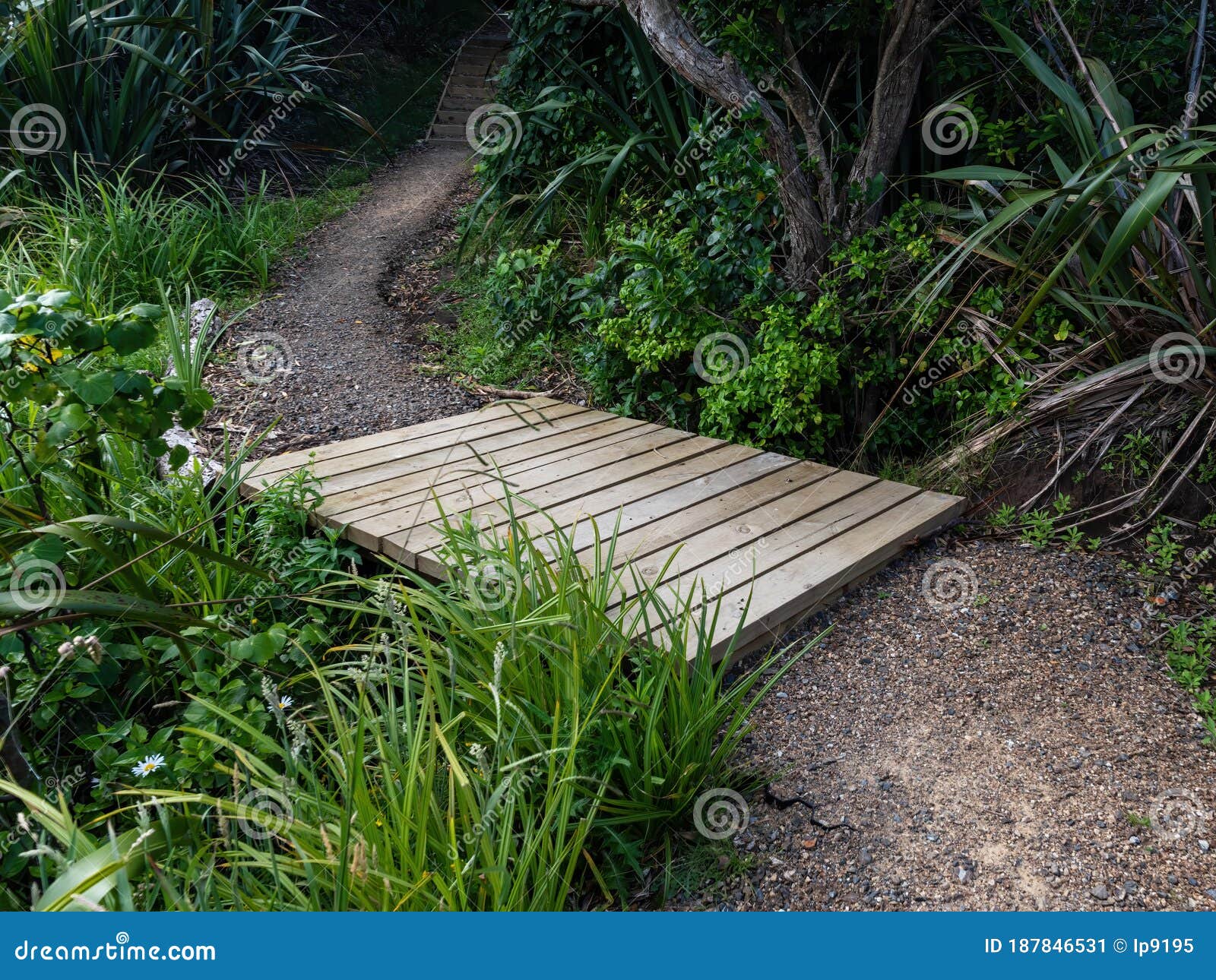 Hillary hiking track stock image. Image of natural, view - 187846531