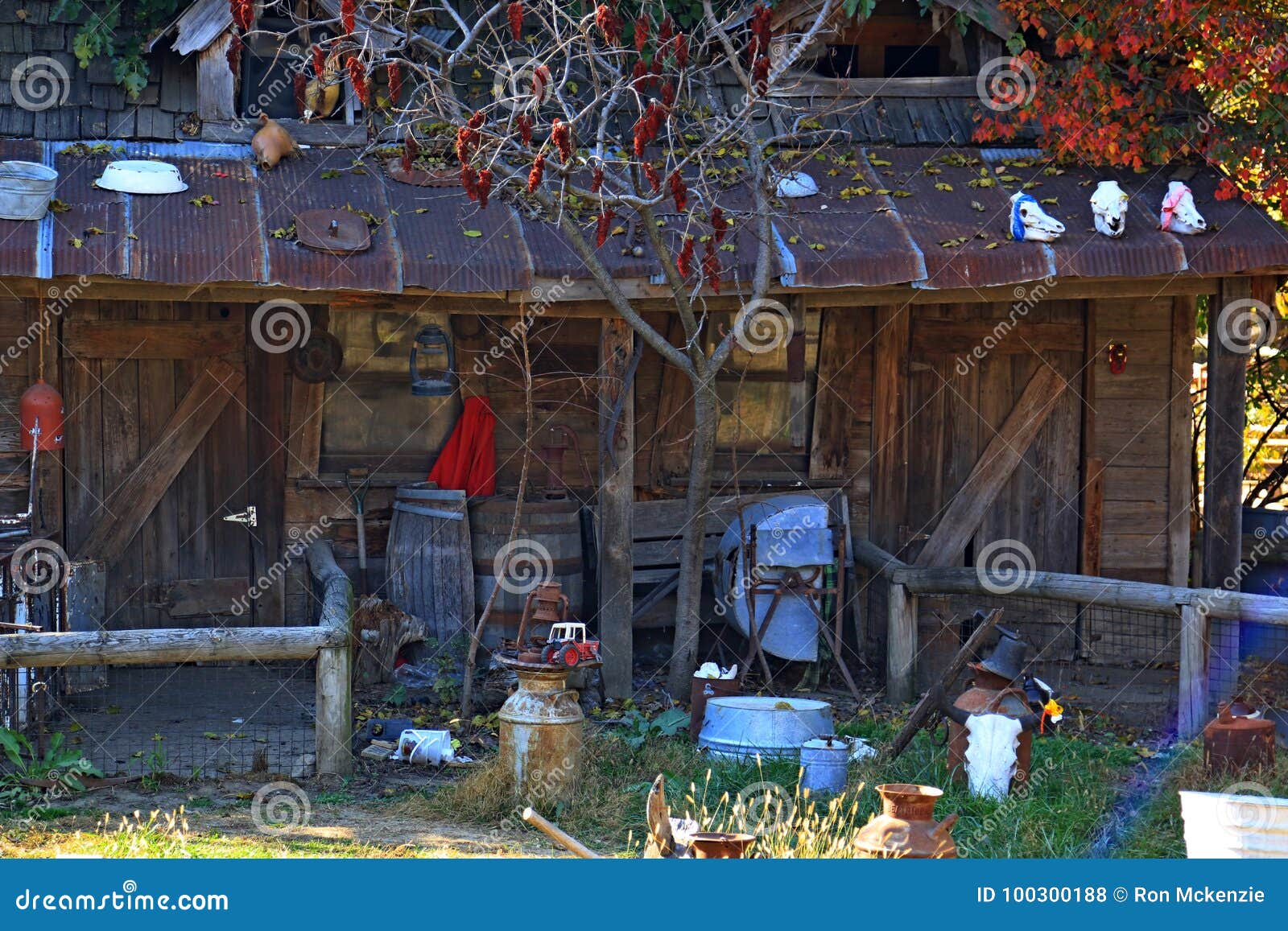 Hillbilly Inn stock photo. Image of rustic, nice, openings - 100300188