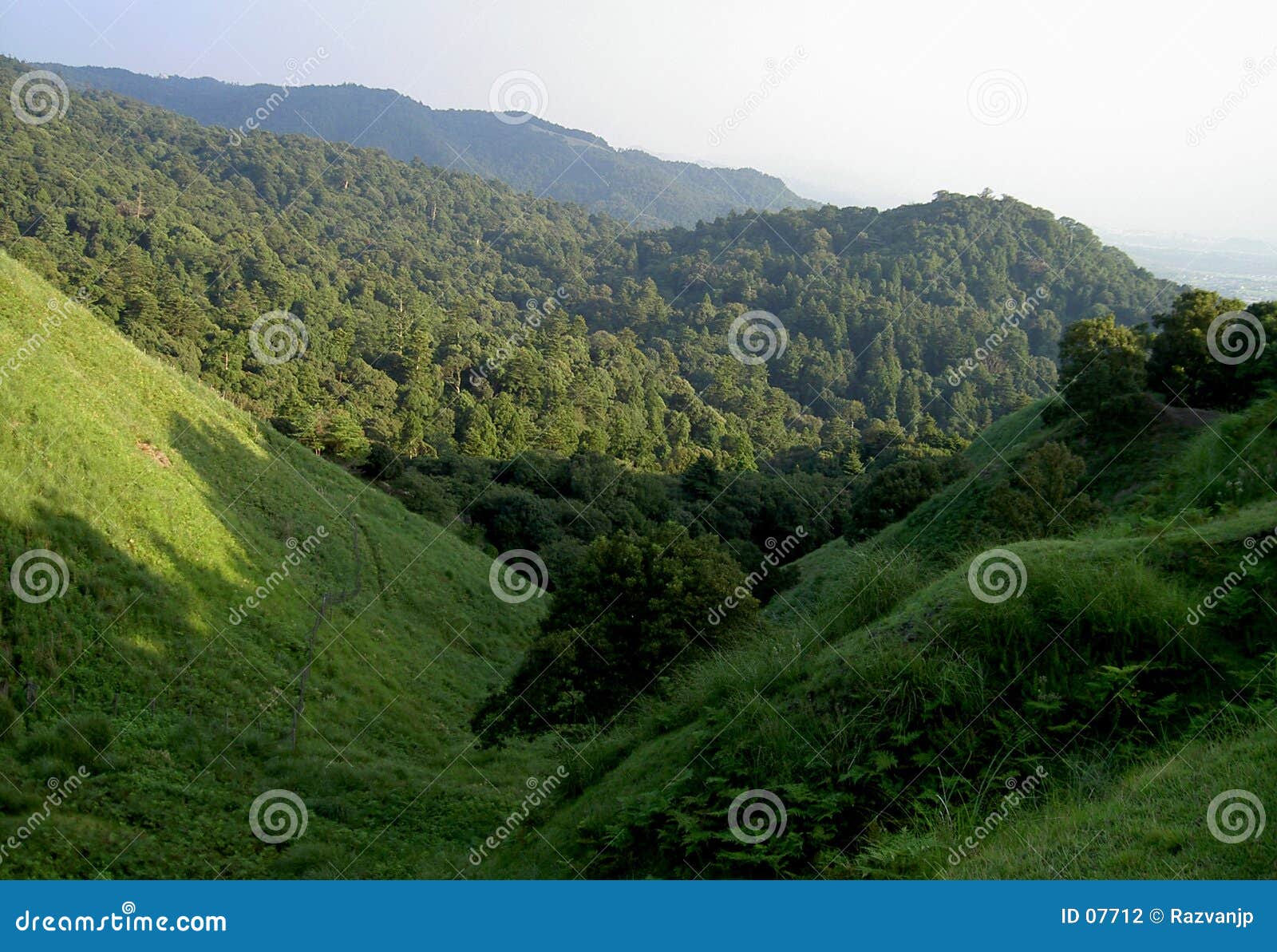 Hills stock photo. Image of famous, hill, gorge, forestland - 7712