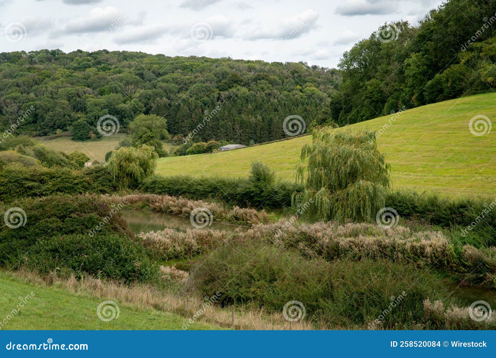 Hills Covered by Forests and Fields Stock Photo - Image of green ...