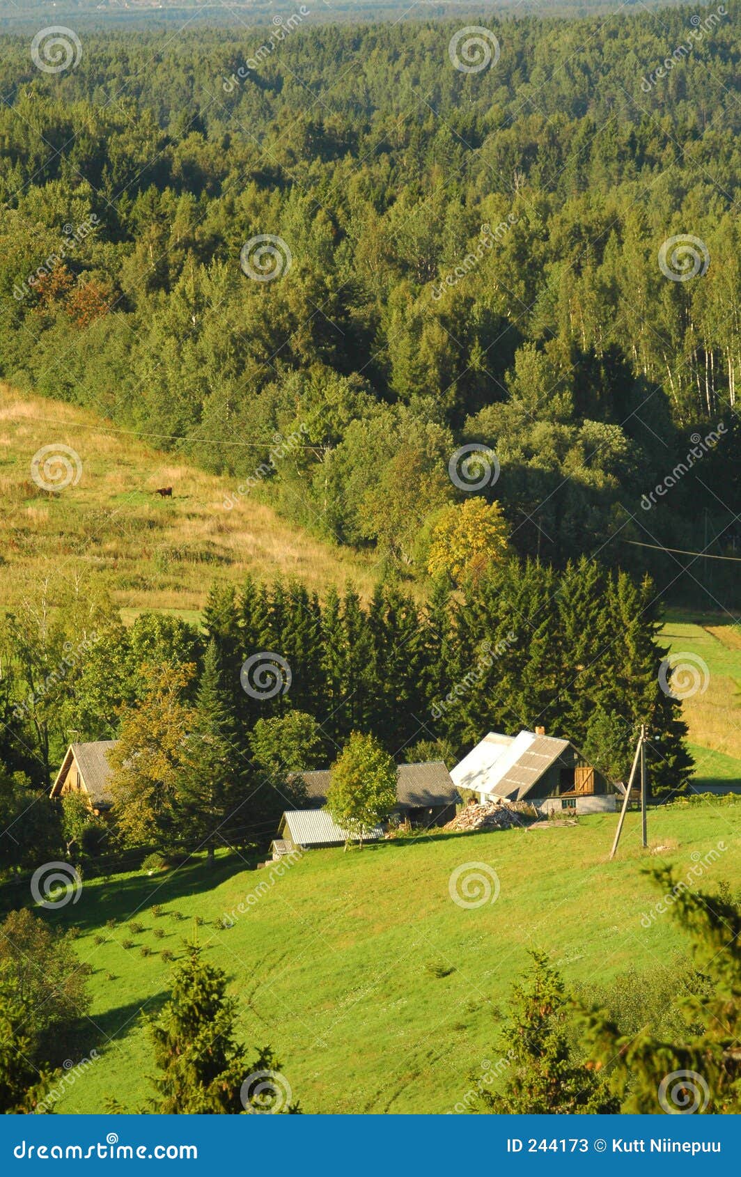 Hills and Forests of Estonia Stock Image - Image of homes, trees: 244173