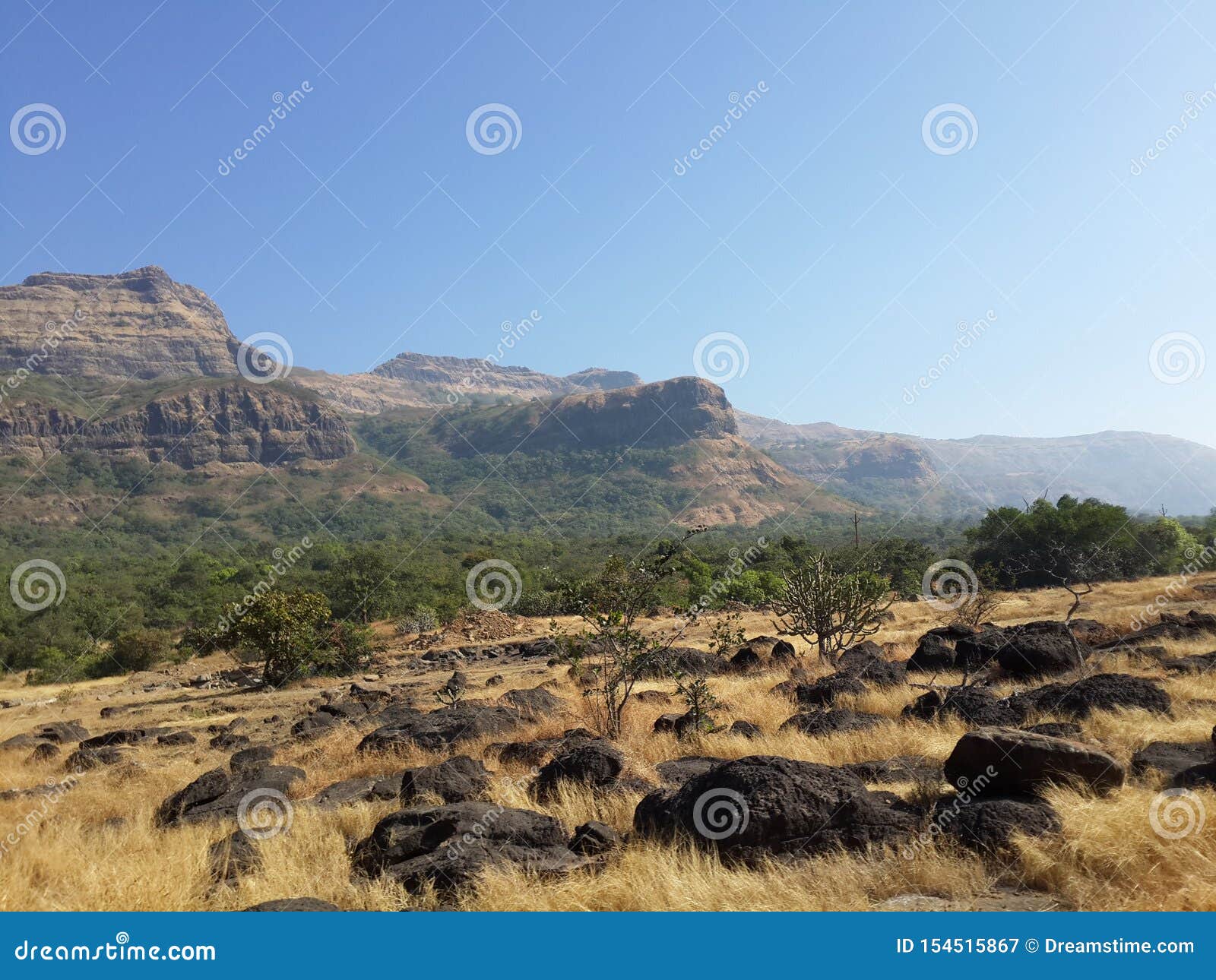 Hills and Mountain Range,trees Greenery Landscape View Stock Image ...