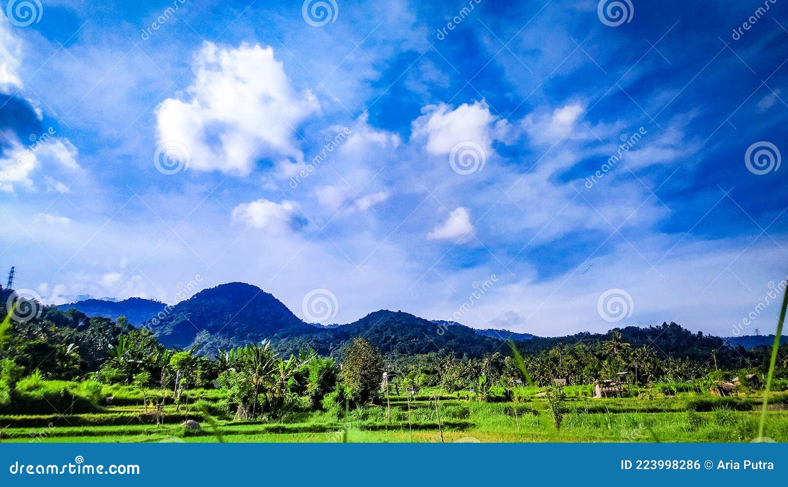 Hills and rice fields view stock photo. Image of meadow - 223998286