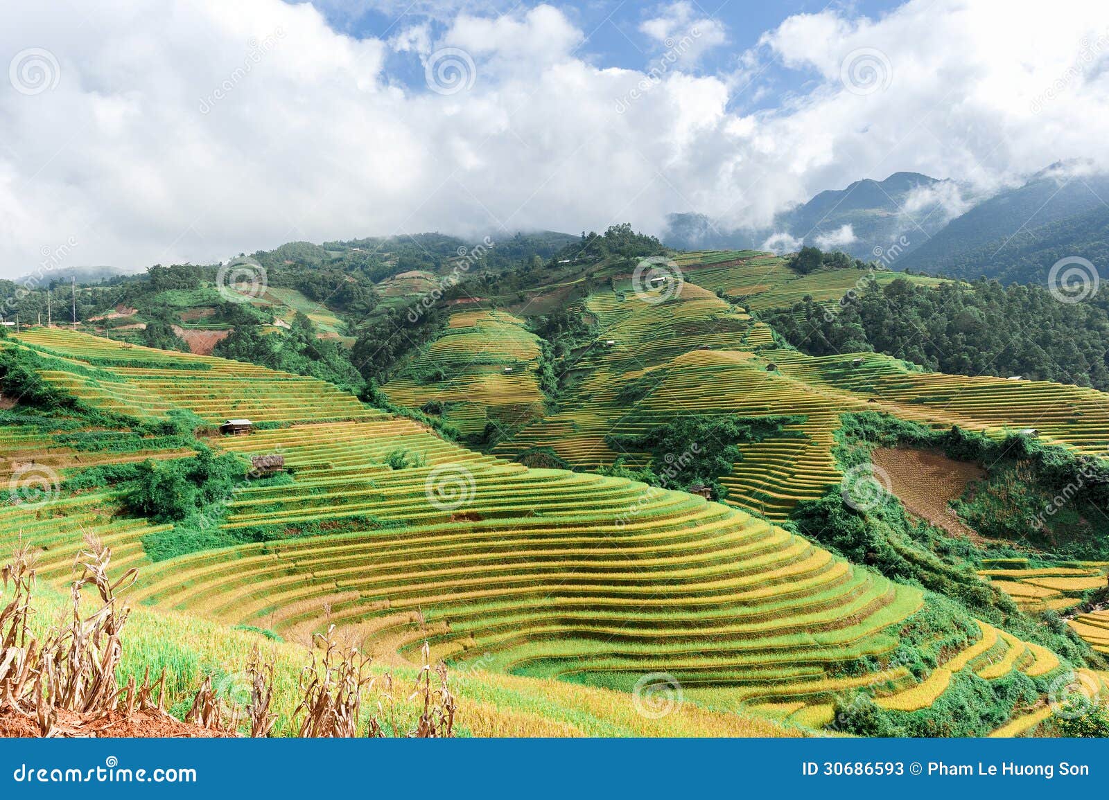Hills of Rice Terraced Fields Stock Image - Image of ground, asian ...
