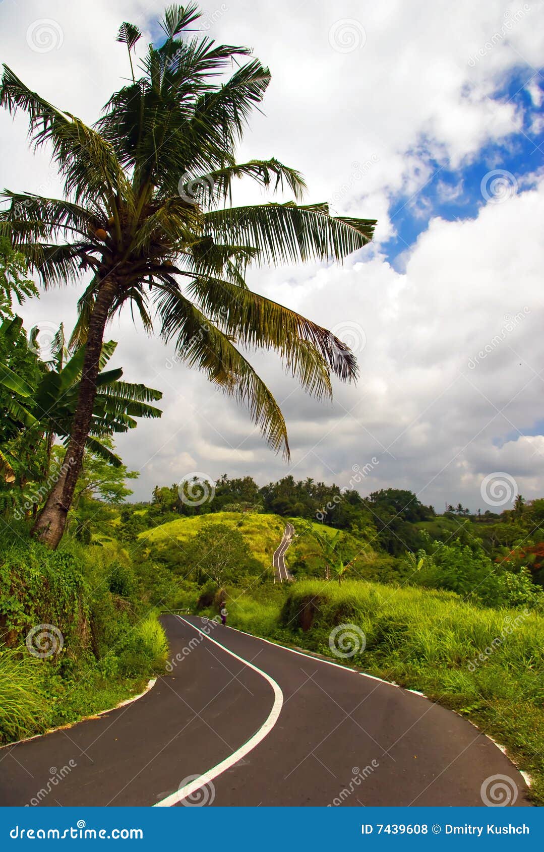 Hills and Roads in Center of Bali Stock Photo - Image of field, clouds ...