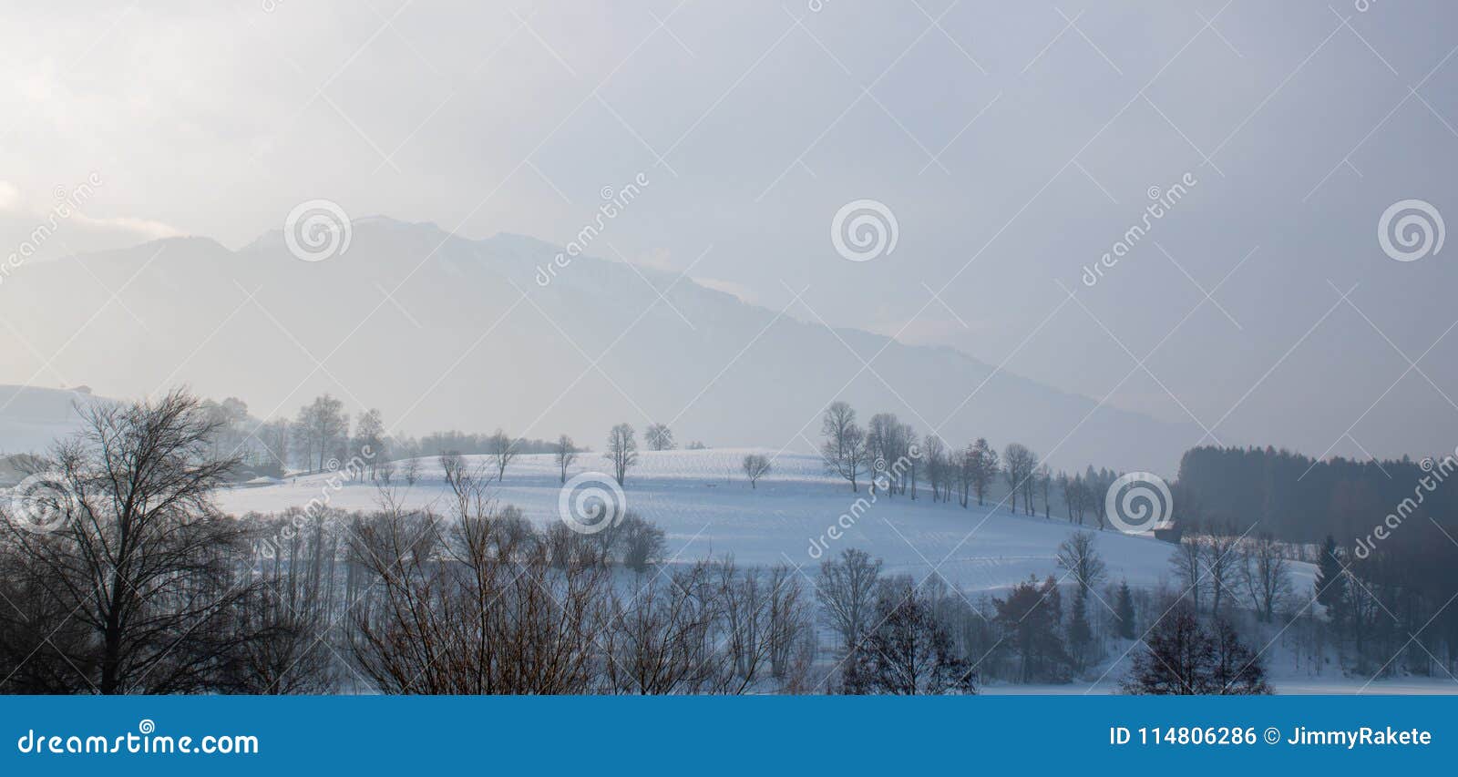 Hills with snow and trees stock photo. Image of mountain - 114806286