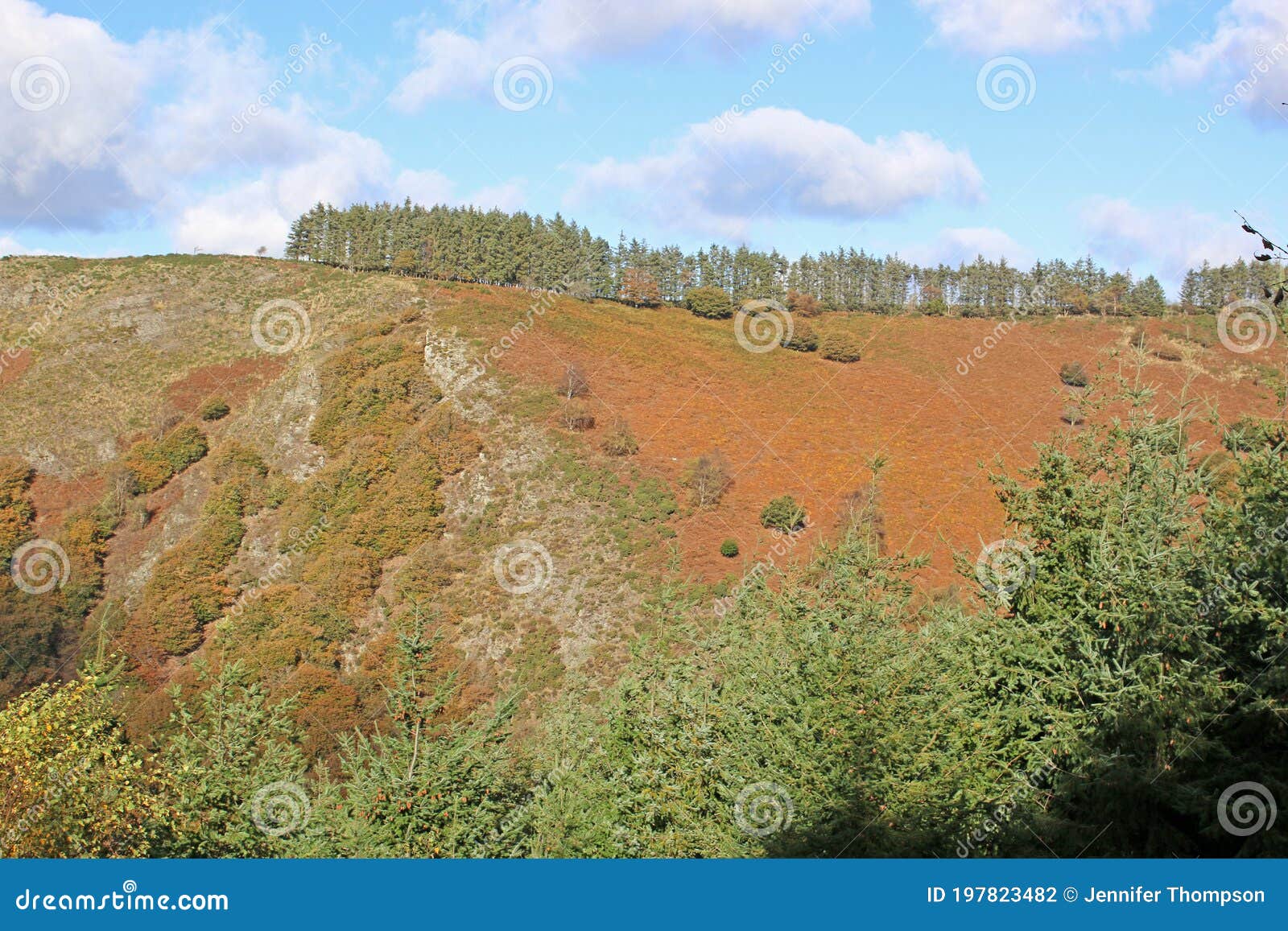 Teign Valley, Devon in Autumn Stock Photo - Image of cloud, mountain ...