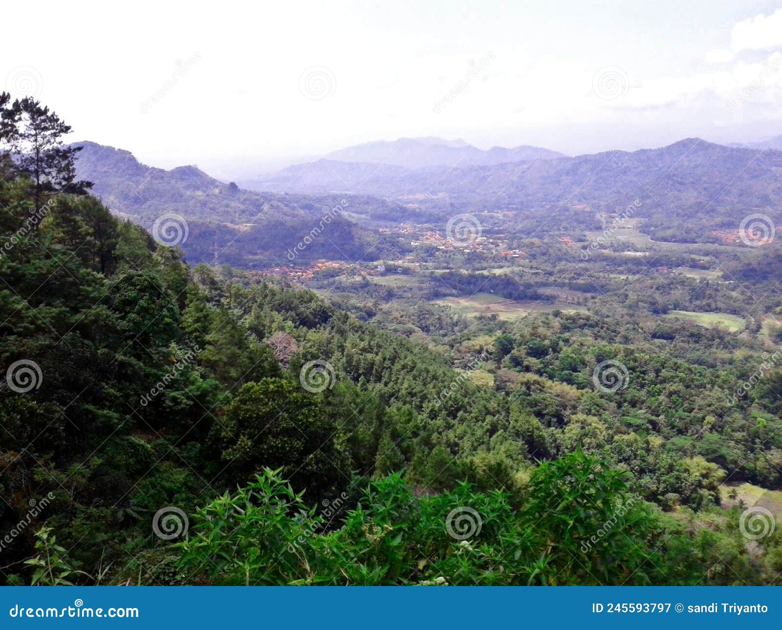 Hills and tree Kuningan stock image. Image of kuningan - 245593797