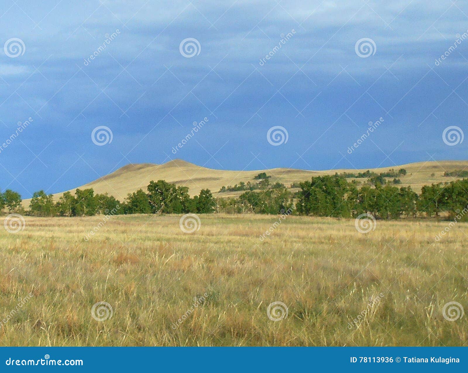 The Hills in the Tuva Steppe Stock Photo - Image of pasture, meat: 78113936