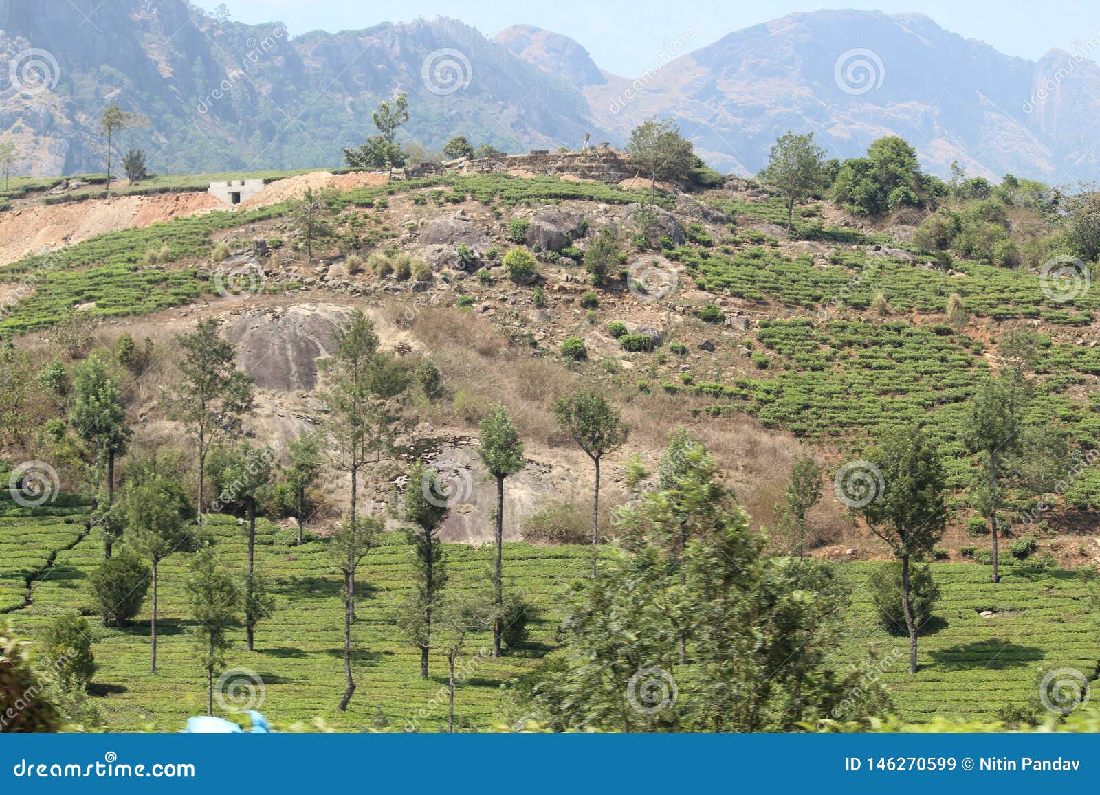Hills view in Kerala stock image. Image of kerla, view - 146270599