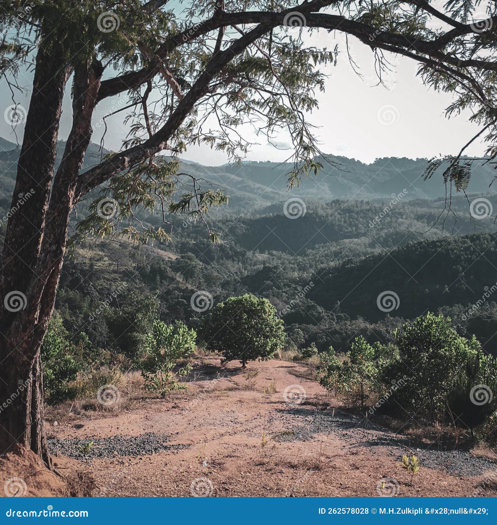 Hills stock photo. Image of silence, view, hills - 262578028