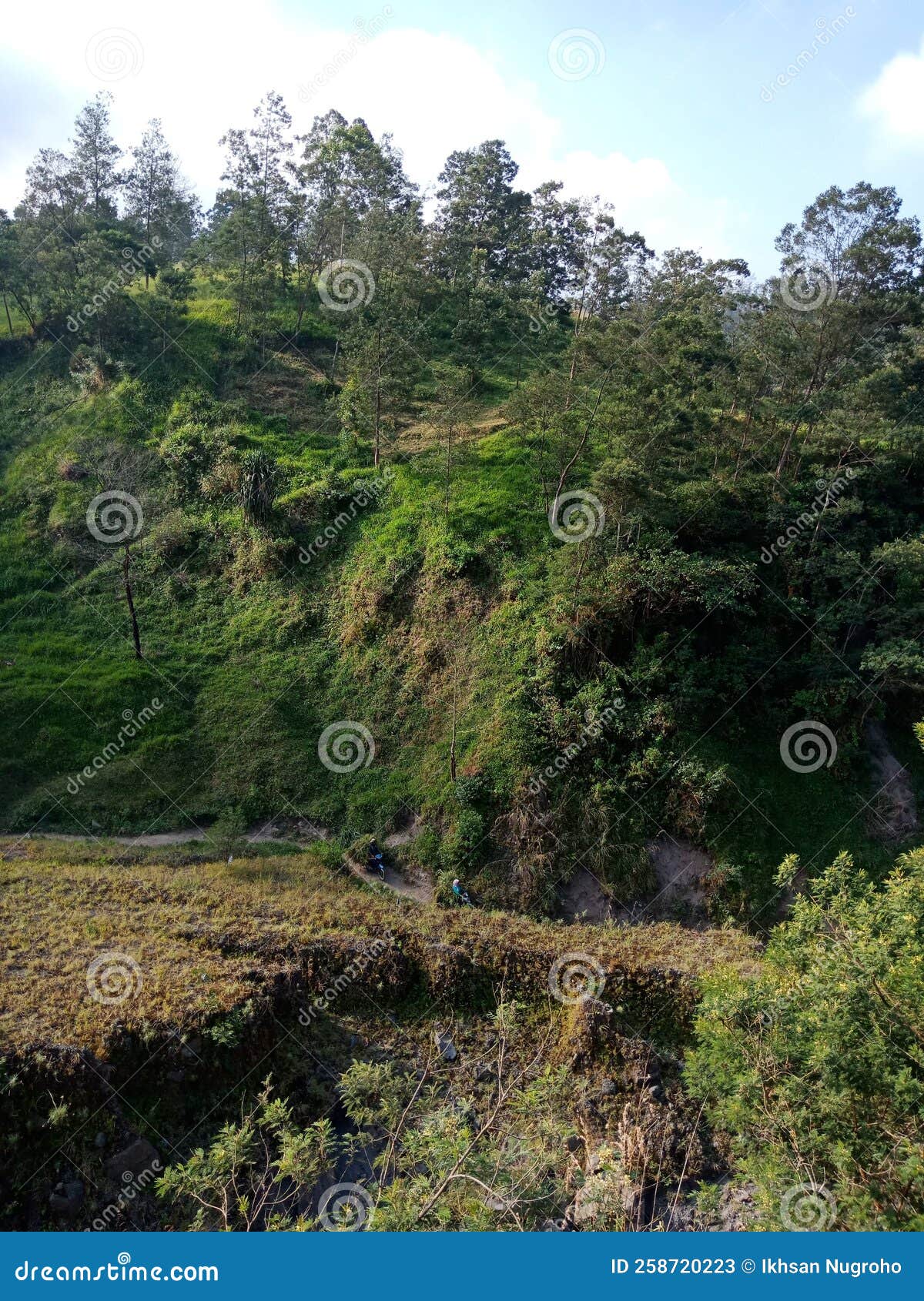 Hills Whose Plants are Very Lush Green Stock Image - Image of hills ...
