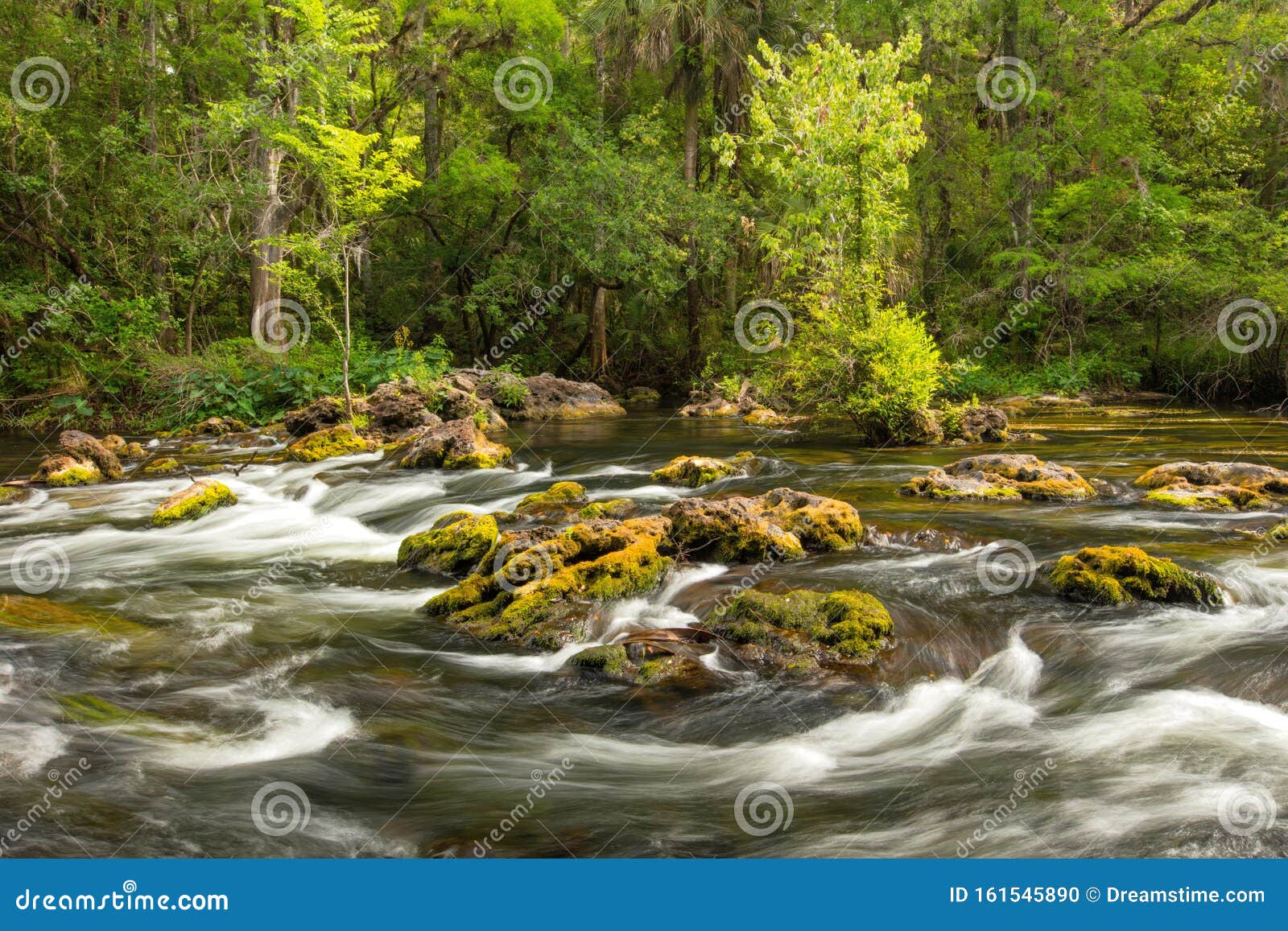 Hillsborough River Rapids in Spring Runoff Stock Photo - Image of park ...