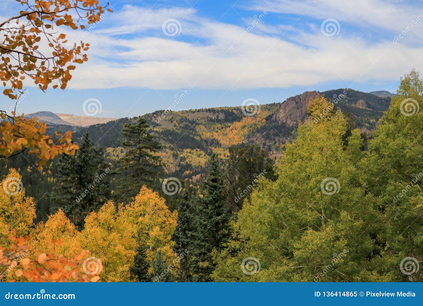 Autumn Colors on Hillside Full of Aspens Stock Image - Image of colors ...