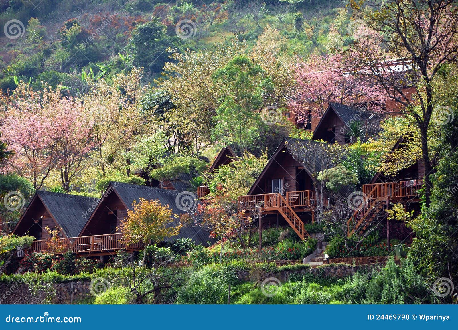 Hillside cottages stock photo. Image of wooden, northern - 24469798