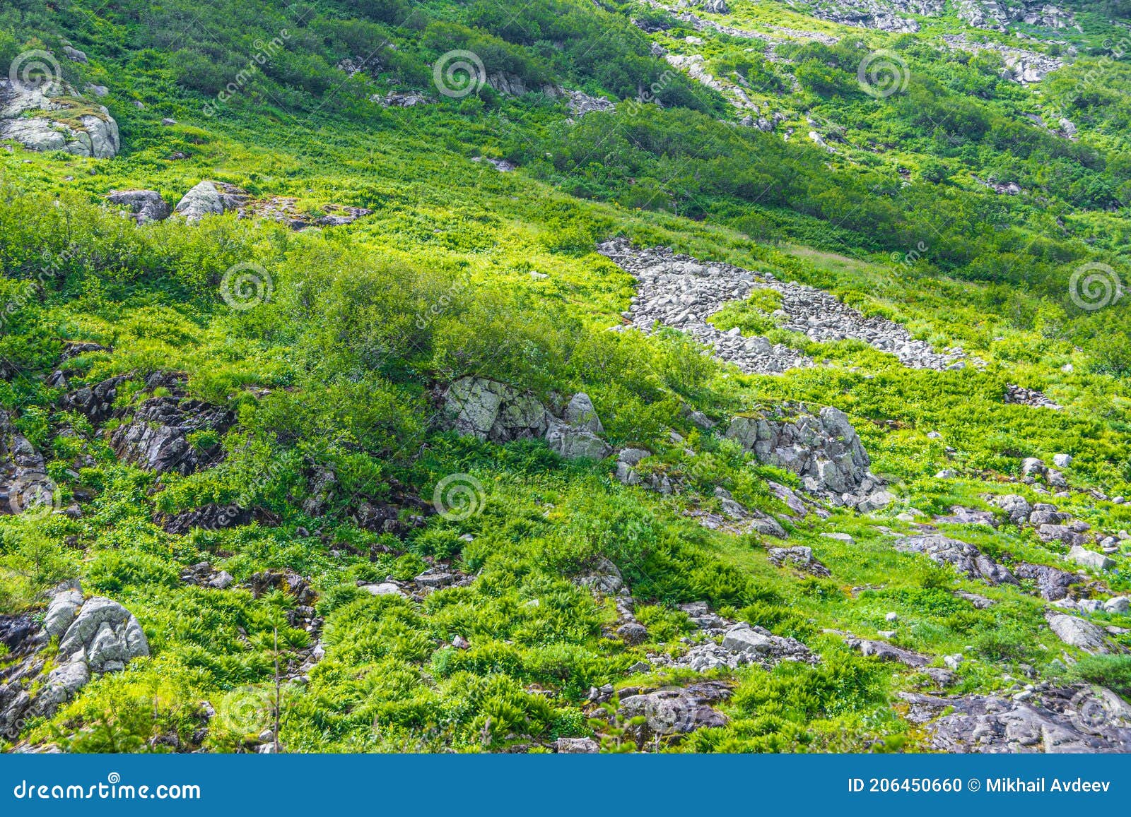 Hillside Covered with Rocks and Green Stock Photo - Image of office ...