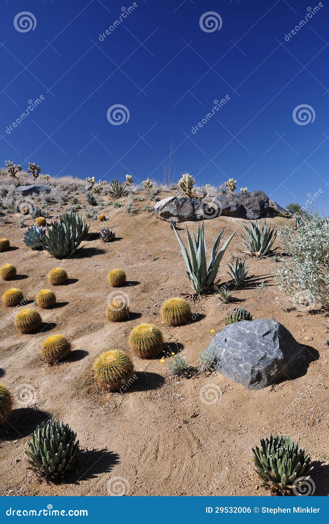 Hillside in the desert stock photo. Image of flora, rock - 29532006