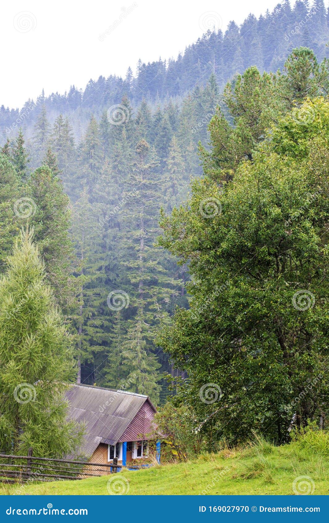 Hillside in the Distance House Stock Photo - Image of creek, forest ...