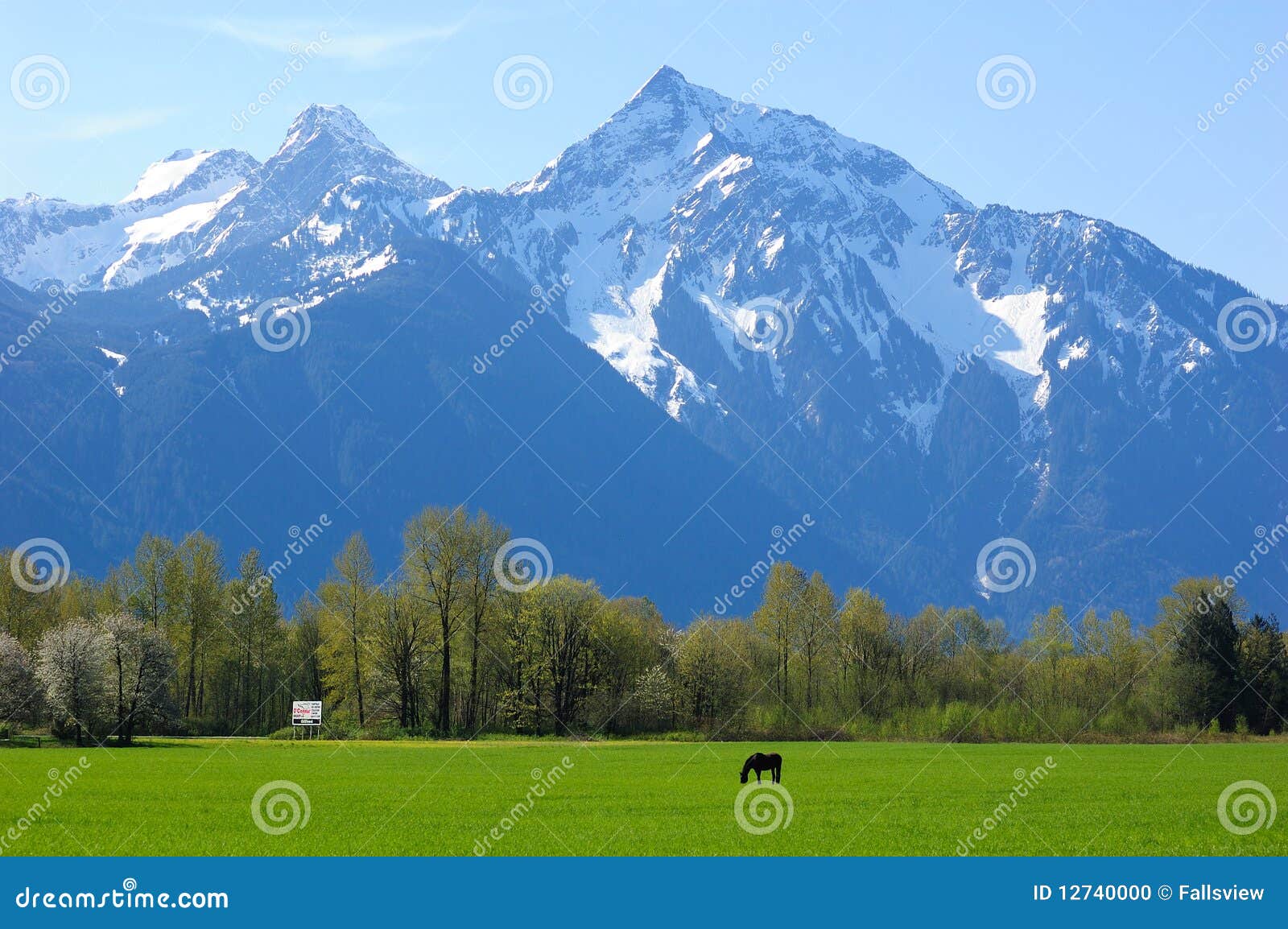 Hillside farm stock photo. Image of canada, columbia - 12740000