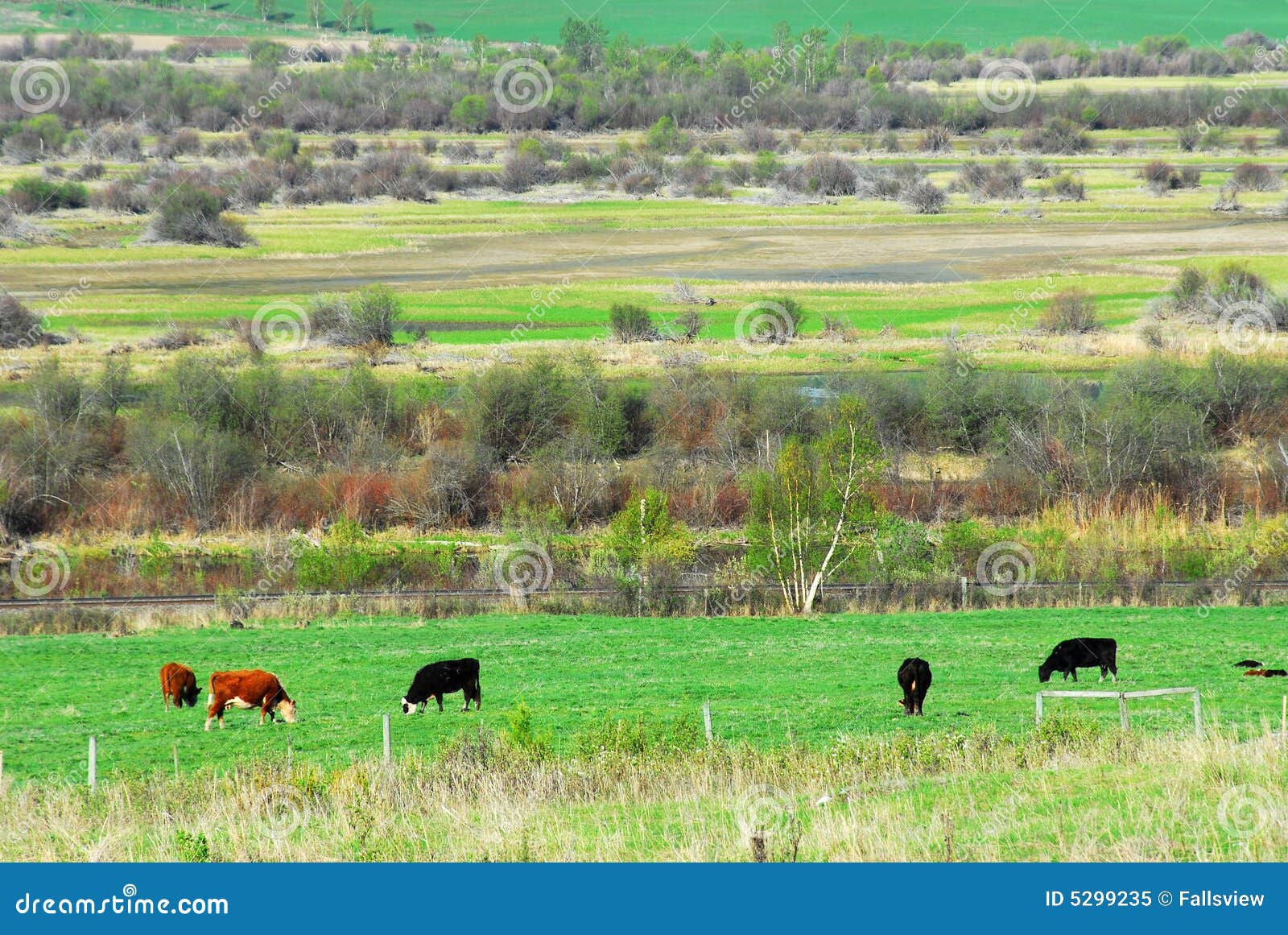 Hillside farm stock image. Image of hillside, forest, park - 5299235