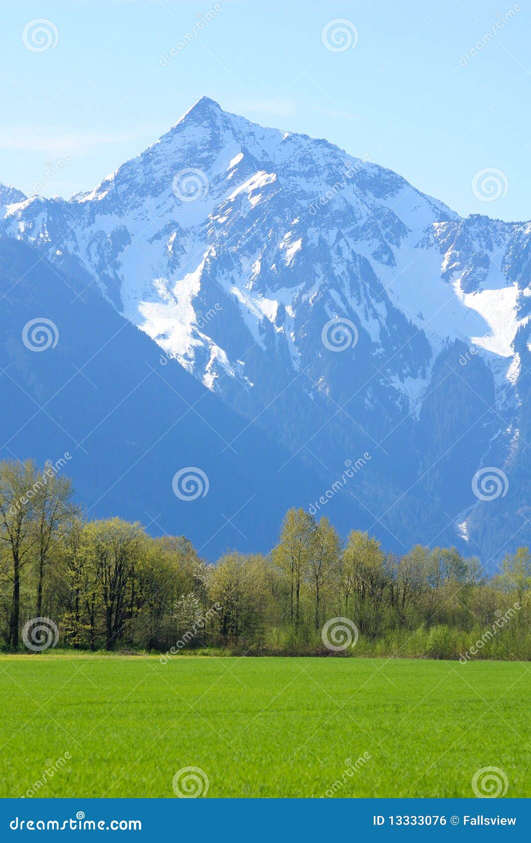 Hillside farm in bc stock photo. Image of pasture, snowy - 13333076