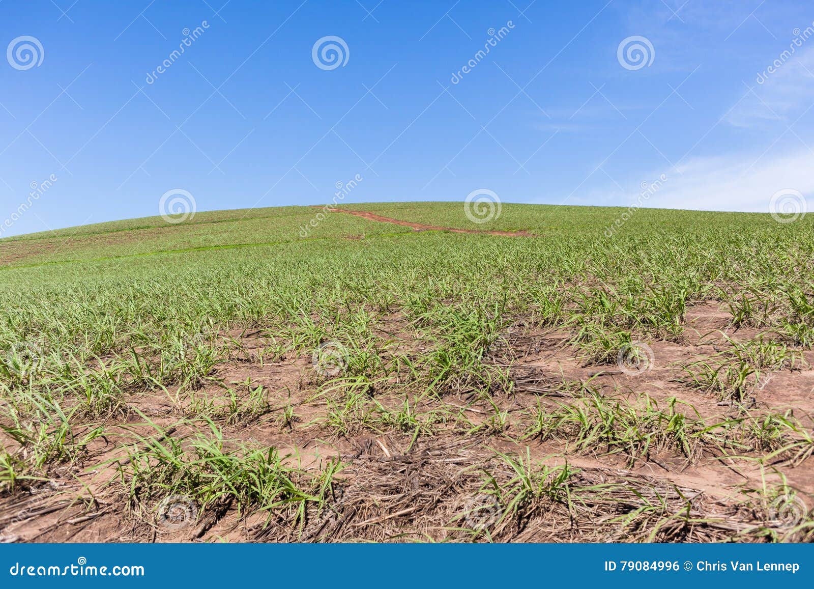 Hillside Farming Landscape stock photo. Image of crops - 79084996