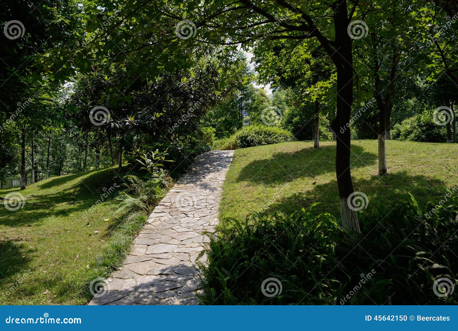 Hillside Footpath in Verdant Plants on Sunny Summer Day Stock Photo ...