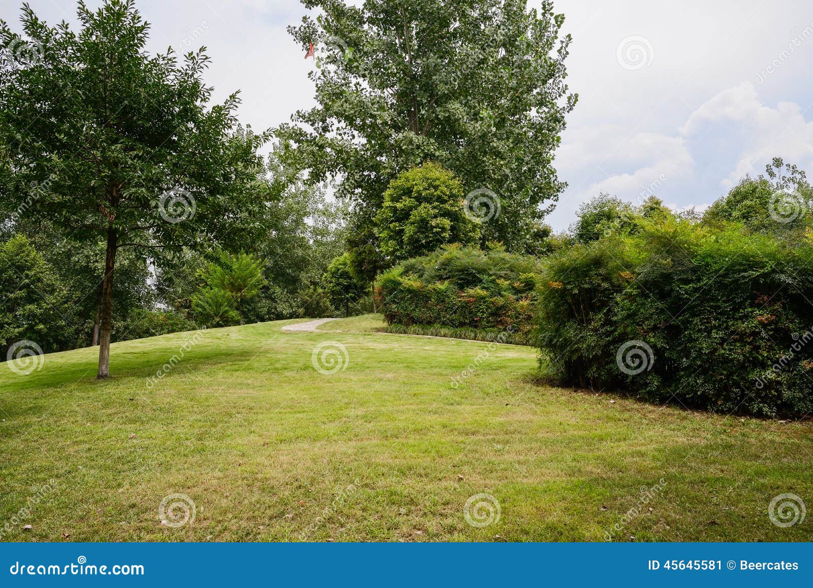 Hillside Grassy Lawn and Verdant Plants in Sunny Summer Stock Image ...