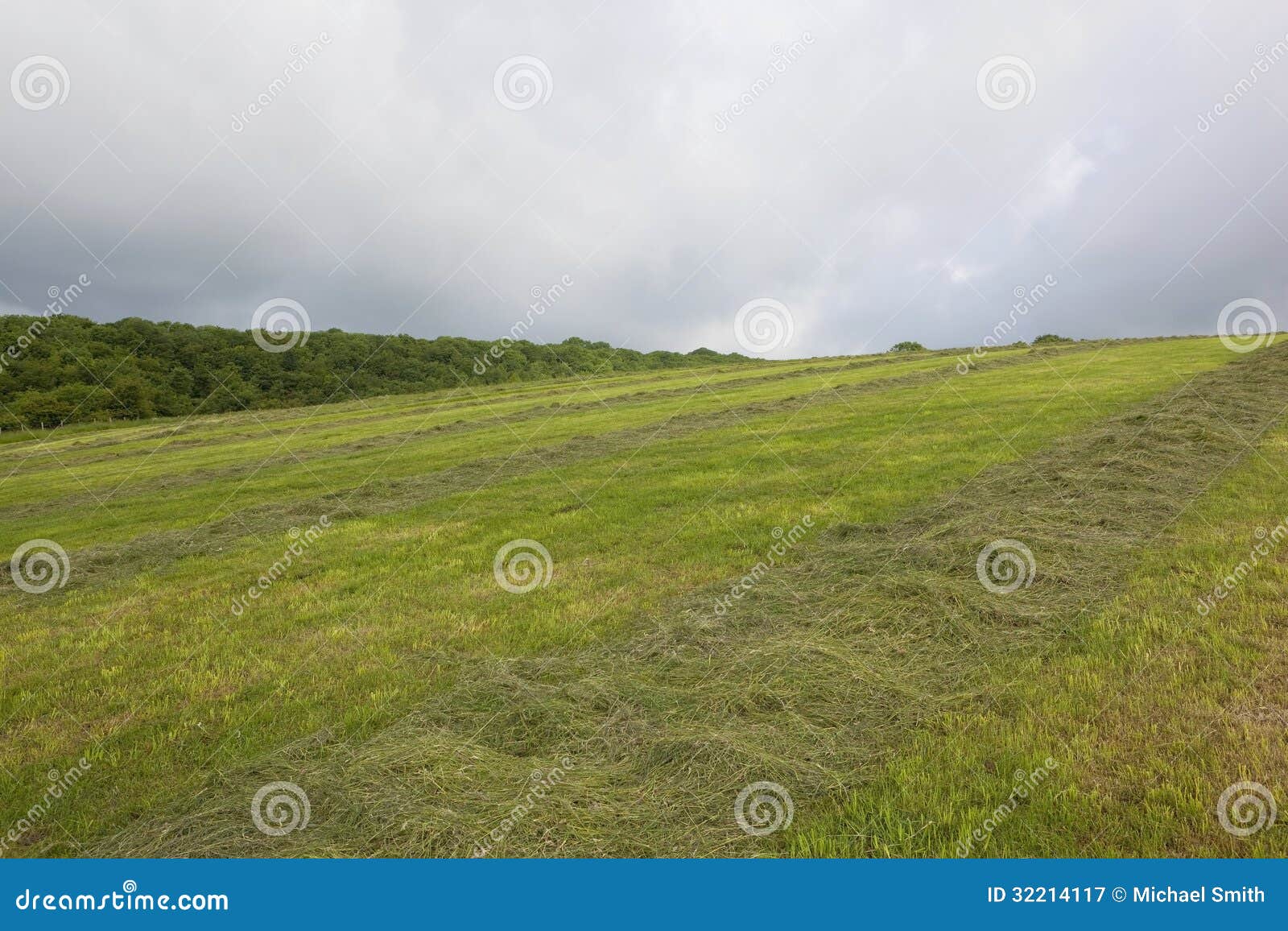 Hillside hay meadow stock image. Image of summer, english - 32214117