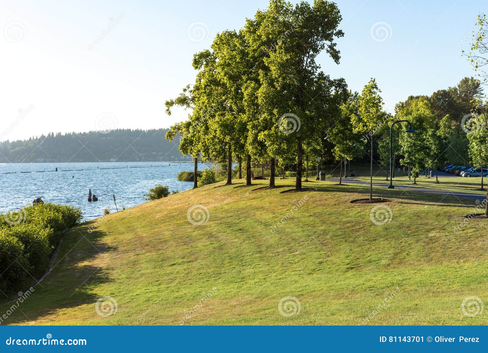 Hillside by the lake stock image. Image of lake, nature - 81143701